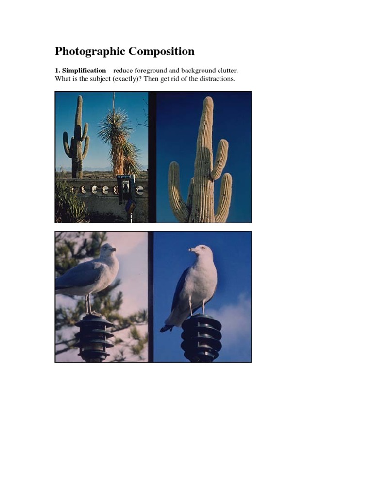 Photographic Composition | PDF | Composition (Visual Arts) | Eye
