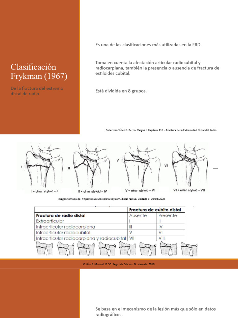 Clasificación Frykman y Fernández | PDF | Hueso | Sistema esquelético
