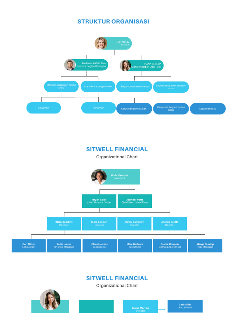 Organizational Chart Visual Charts Presentation in Blue White Teal ...