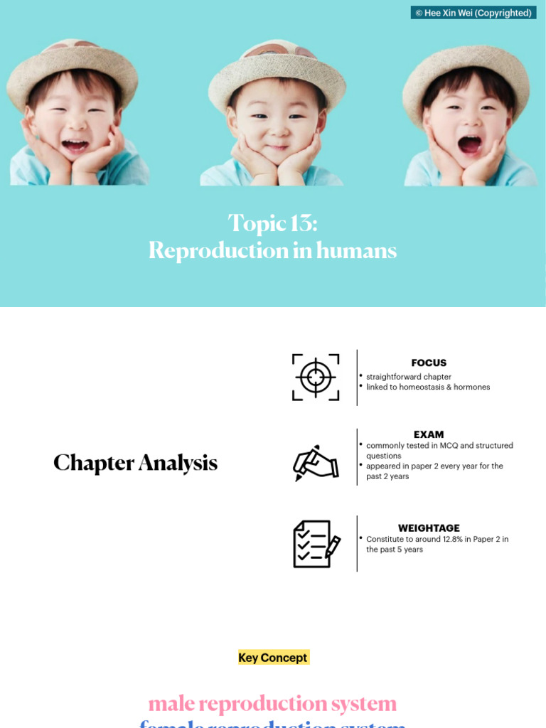 (CS BIO) Chapter 13 - Reproduction in Humans | PDF | Menstrual Cycle | Uterus