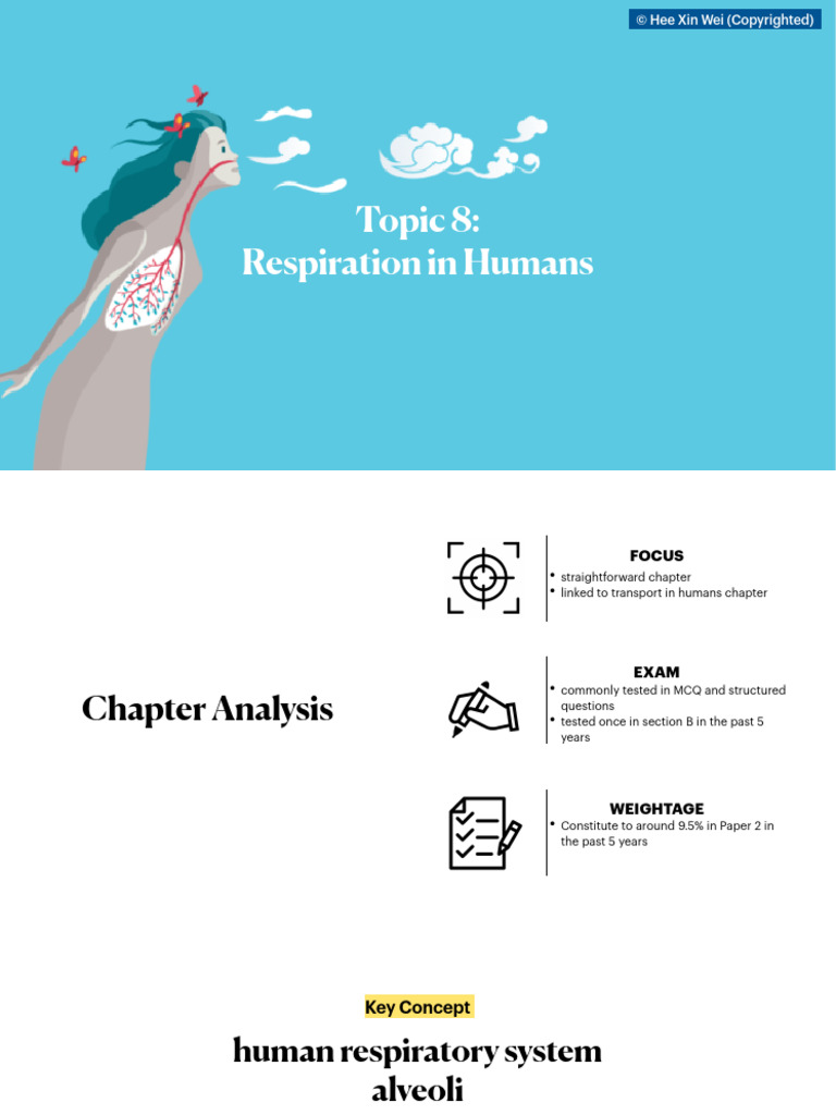 (CS BIO) Chapter 8 - Respiration | PDF | Respiratory Tract | Lung