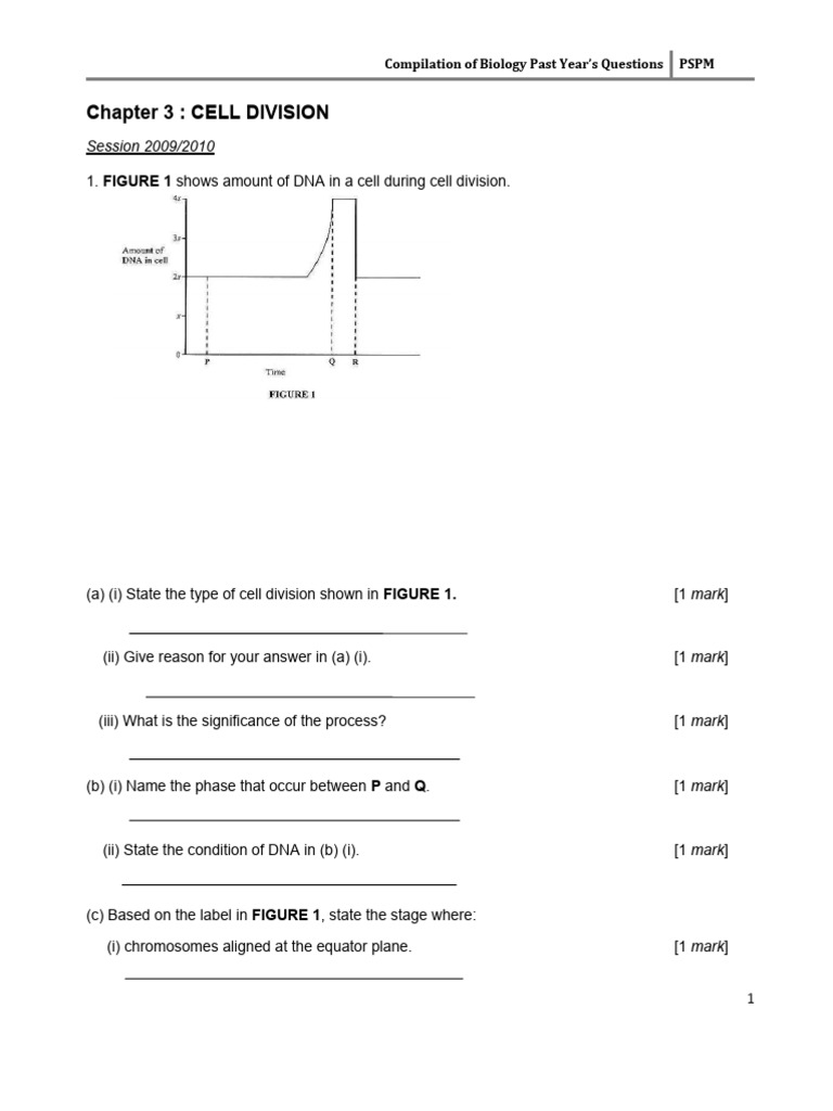 BIO Exercise | PDF | Mitosis | Meiosis