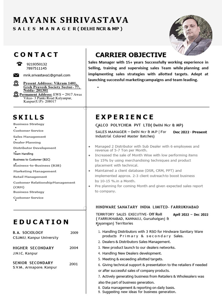Mayank Updated Cv 2024 | PDF | Sales | Customer Relationship Management