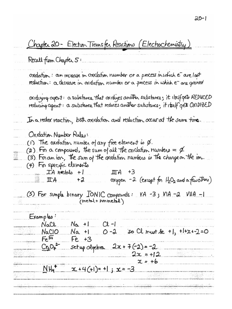 Chapter 20 A | PDF