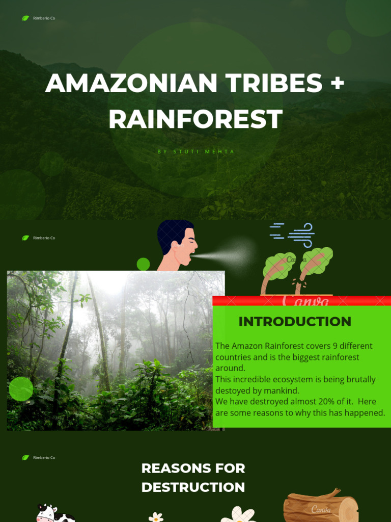 Amazonian Tribes + Rainforest | PDF | Amazon Rainforest | Deforestation