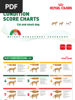 Purina Body Condition Score Diagram | PDF | Abdomen | Pelvis