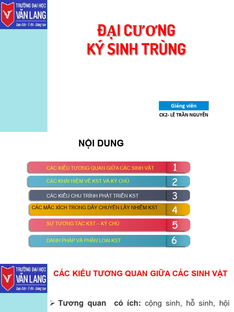 1 - KST Đ I Cương | PDF