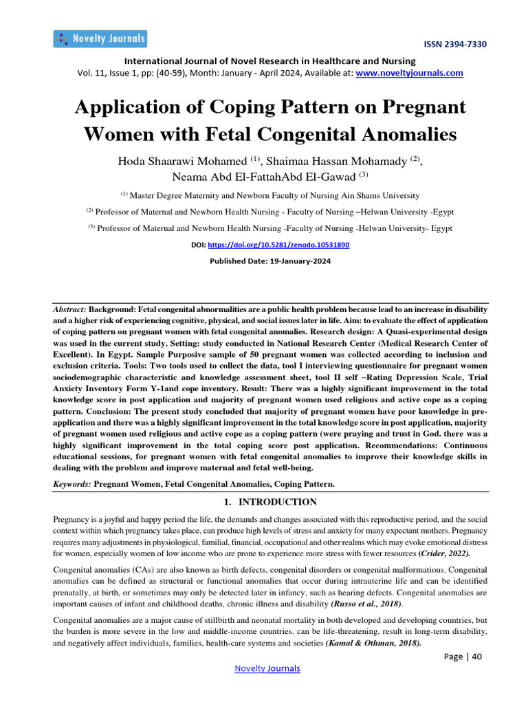 Application of Coping Pattern On Pregnant Women-19012024-1 | PDF ...