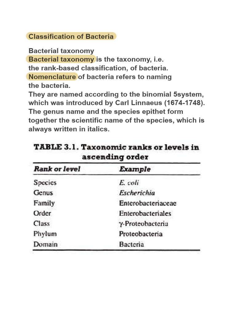 Classification of Medically Important Bacteria | PDF | Bacteria | Cell ...