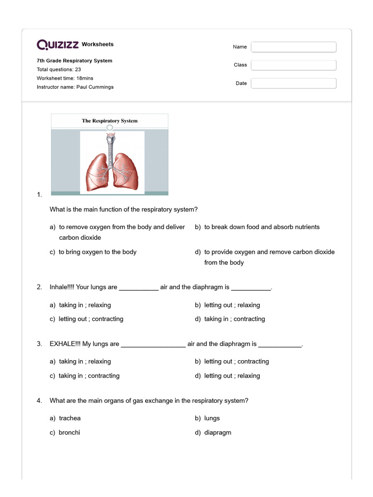 7th Grade Respiratory System | PDF | Respiratory System | Lung