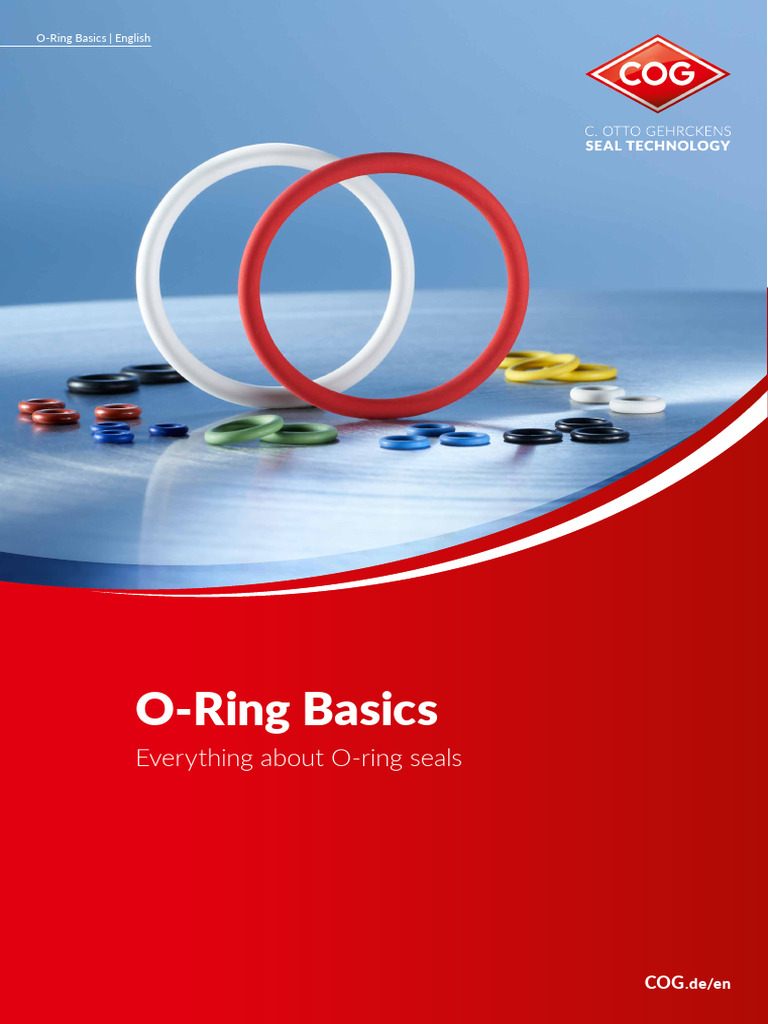 O-Ring 1x1 ENG | PDF | Extrusion | Materials