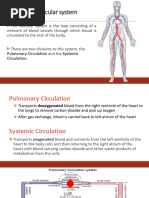 Aaos Rom Values | PDF | Anatomical Terms Of Motion | Limbs (Anatomy)