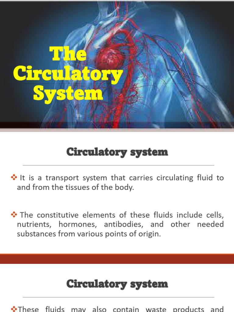 Circulatory System (Cardiovascular) | PDF | Heart | Heart Valve