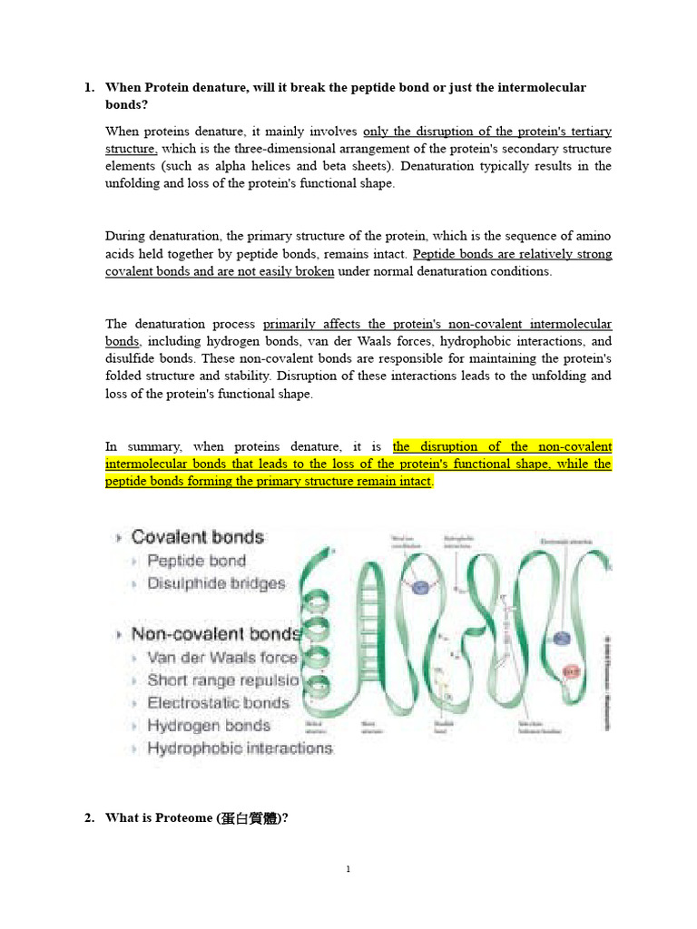 Questions and answers | PDF | Chemical Synapse | Metabolic Pathway
