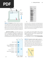 MPN Table | PDF | Evaluation Methods | Methodology