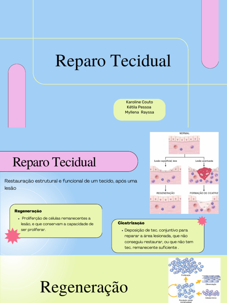 Revisão de Reparo Tecidual | PDF | Cura | Regeneração (Biologia)