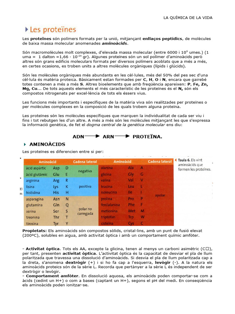 LES PROTEÏNES | PDF