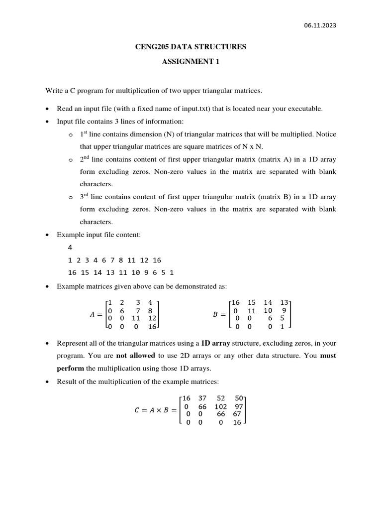 CENG205 Assignment1 | PDF | Matrix (Mathematics) | Computer Programming