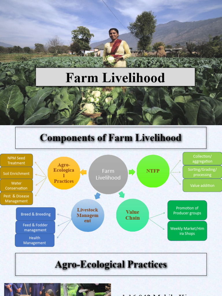 Farm Livelihood | PDF | Agriculture | Livestock