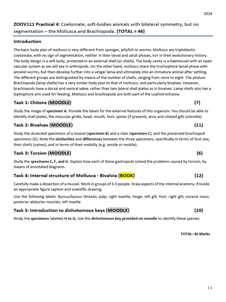 ZOOV111 - Prac4 - Mollusca Handout - 2024 | PDF | Mollusca | Bivalvia