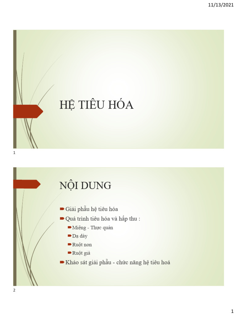SL Tieu Hoa | PDF