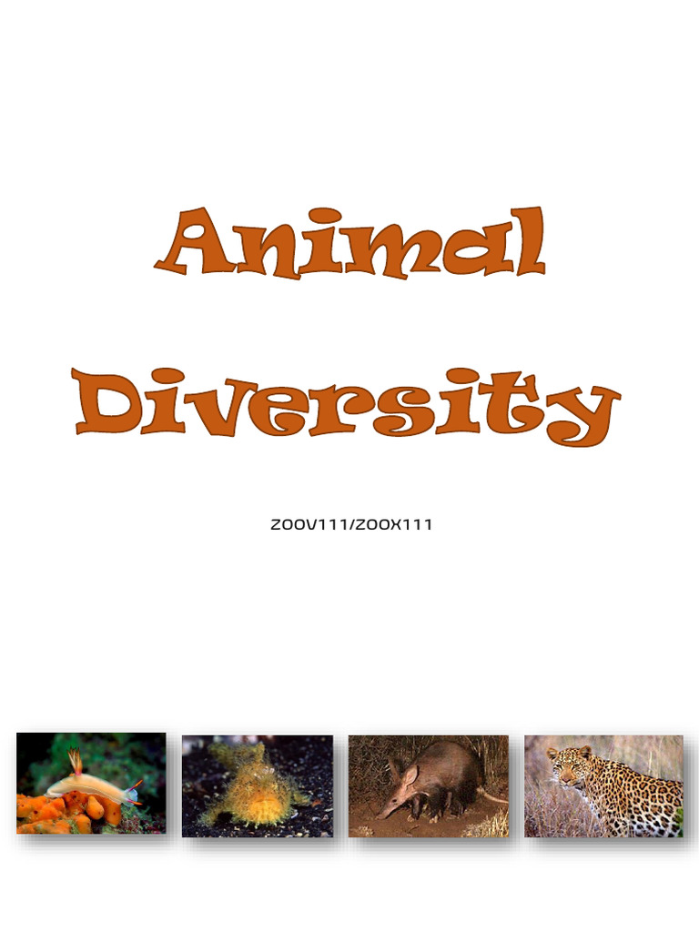 Animal Diversity Class Notes 2021 | PDF | Sponge | Protozoa Animal Diversity Class Notes 2021 | PDF | Sponge | Protozoa