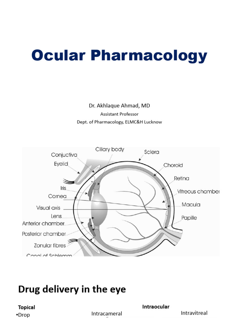 Ocular Pharmacology | Download Free PDF | Ophthalmology | Human Eye