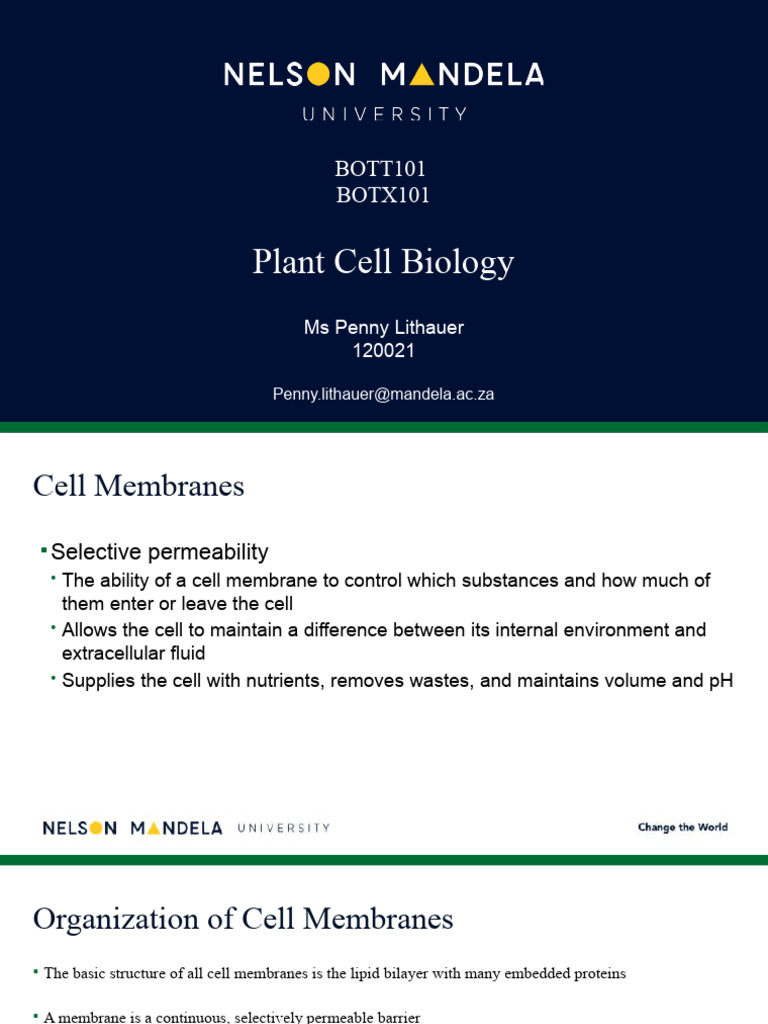 4 - Cell Membranes and Cell Walls | PDF | Cell Membrane | Cell Wall