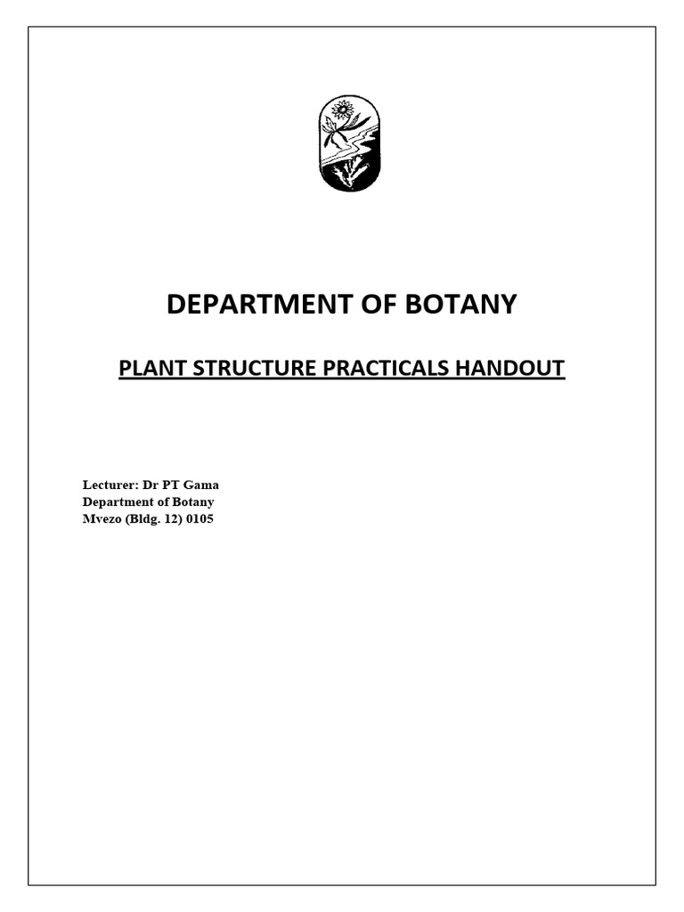 Plant Structure Practicals: Stems & Tissues | PDF | Plant Stem | Plants