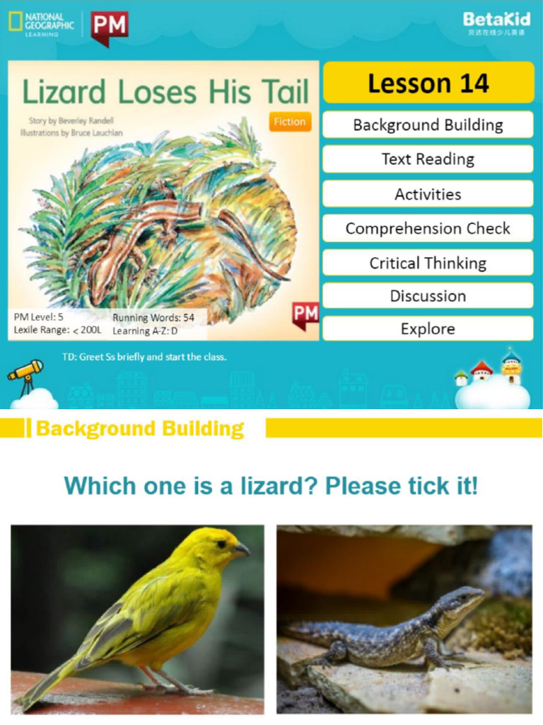 L14-Lizard Loses His Tail | PDF