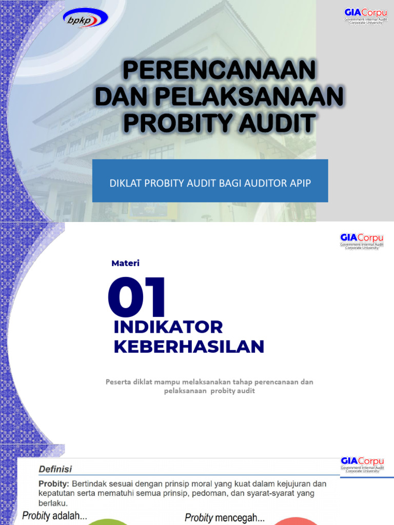 An Probity Audit | PDF | Bisnis | Pengelolaan Keuangan & Uang