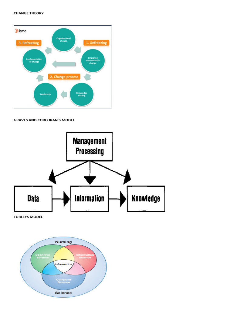 Nursing Info Theories | PDF | Computers