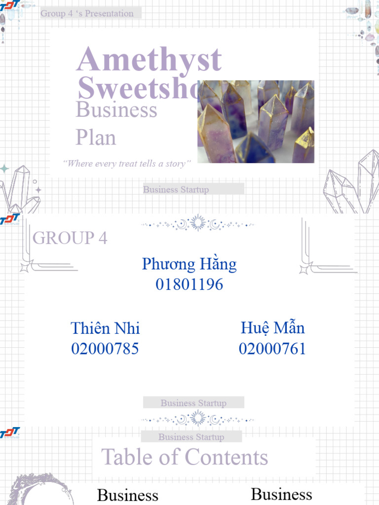 Amethyst Sweet Shop Nhom 4 | PDF | Equity (Finance) | Business Economics