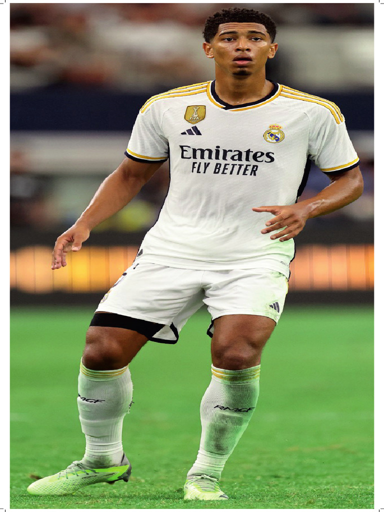 Bellinghan 1,80 X 0,90 | PDF