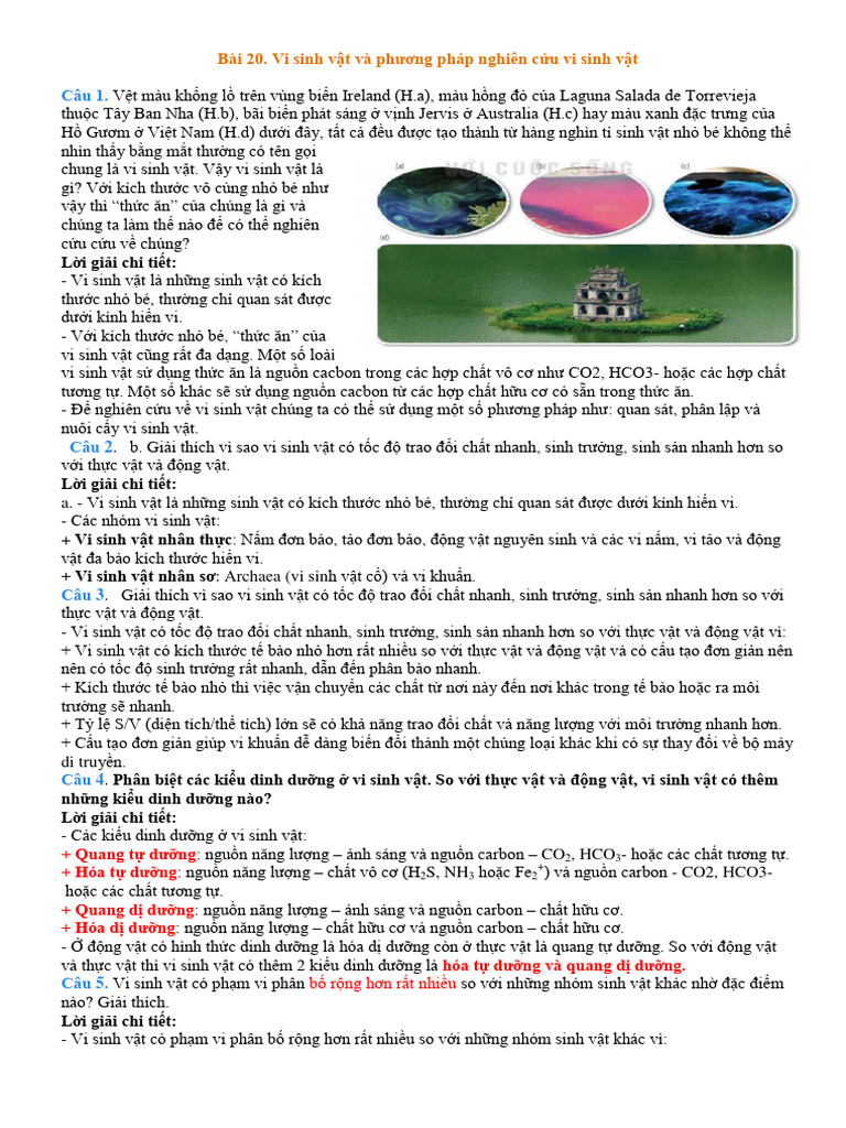 HDG Bài 20 21 VSV | PDF