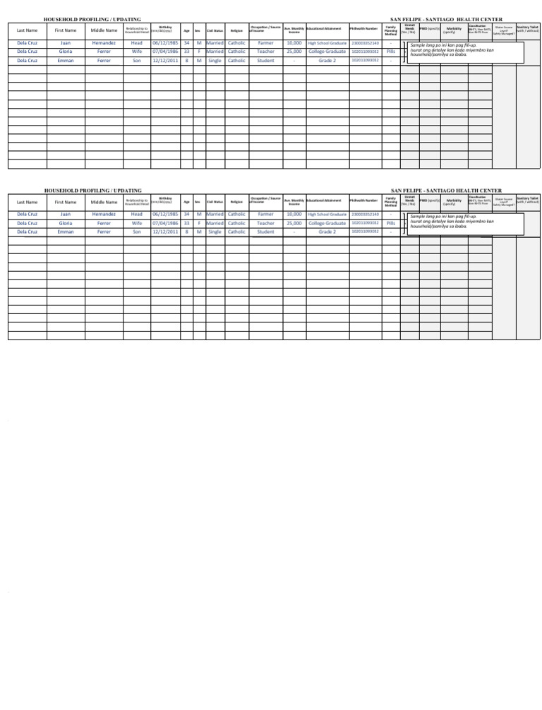 Household Profiling Form 2025 | PDF