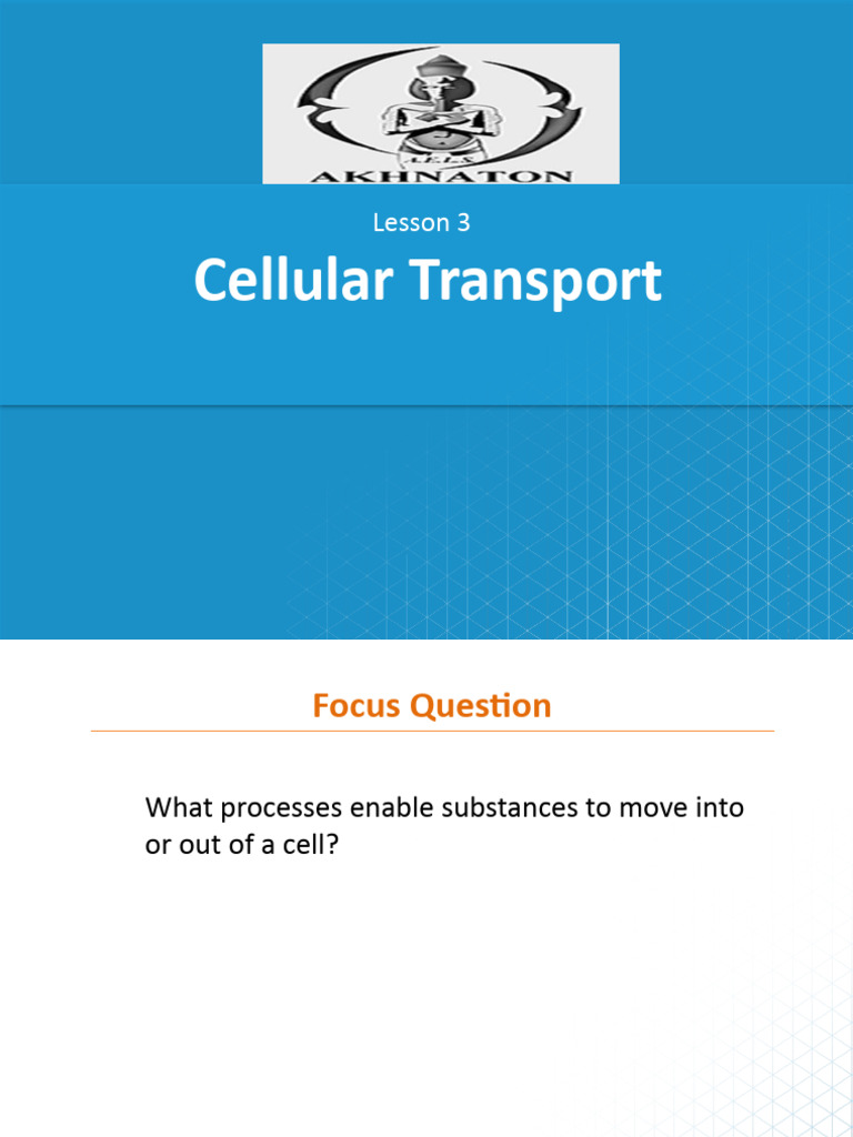 Lesson 3 Cellular Transport | PDF | Osmosis | Cell Membrane