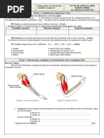Contrôle SVT 3AC Semestre 2 | PDF | Nerf | Muscle squelettique