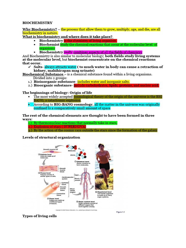 BIOCHEMISTRY | PDF | Cell (Biology) | Chloroplast