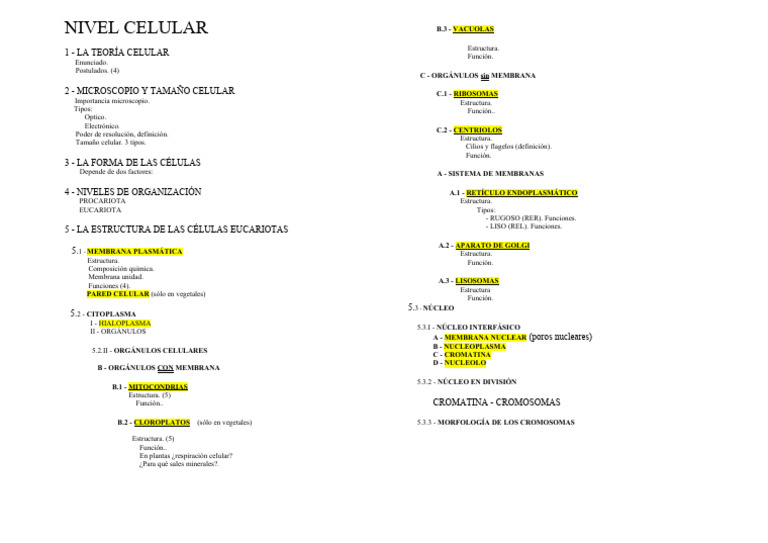 NIVEL CELULAR ESQUEMA para Hacer Trabajo Celula, 2012 | PDF | Biología Celular) | Nucleo celular