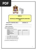 Amabizo Summary Applied African Language Zulu | PDF