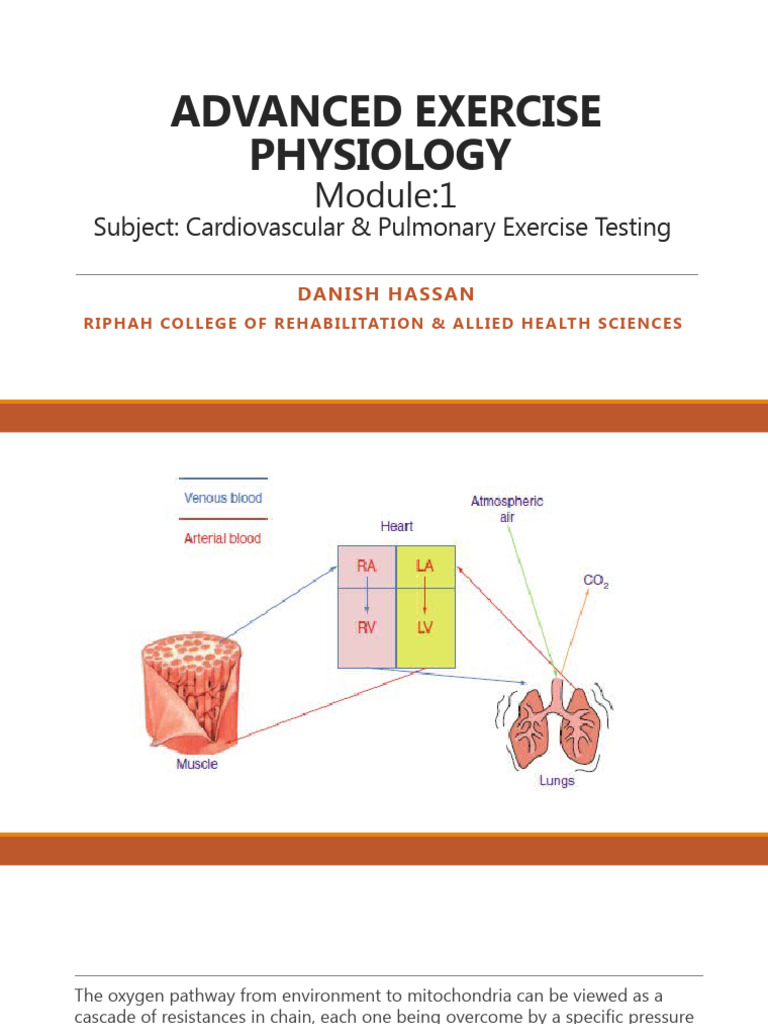 Module 1 (AEP) - Section 2 | PDF | Breathing | Skeletal Muscle