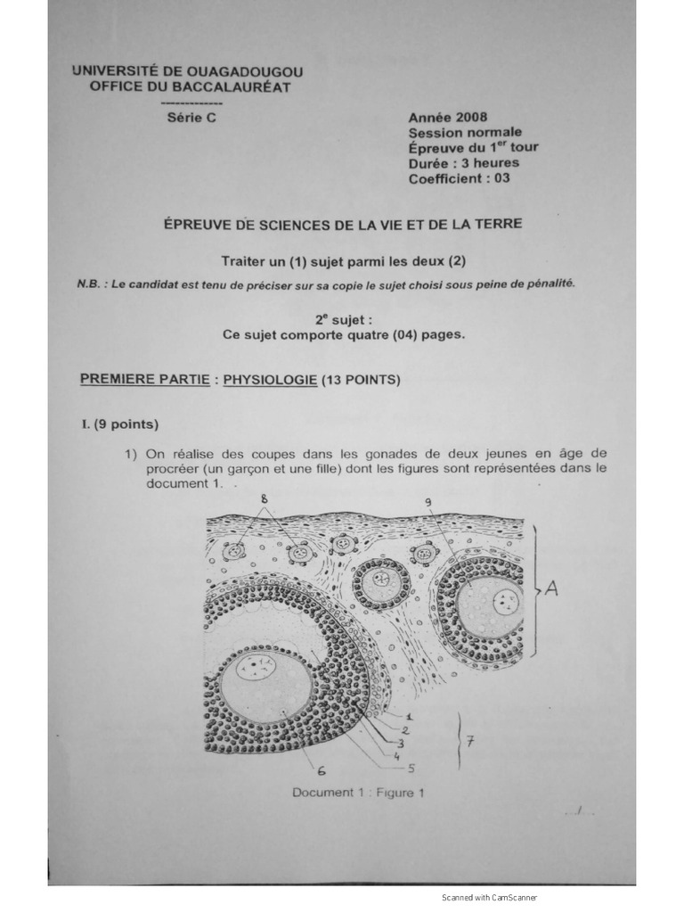 SVT Bacs | PDF