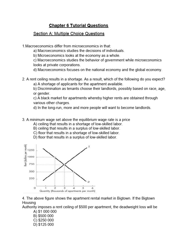 Chapter 6 Tutorial Questions Paper | PDF | Labour Economics | Supply (Economics)