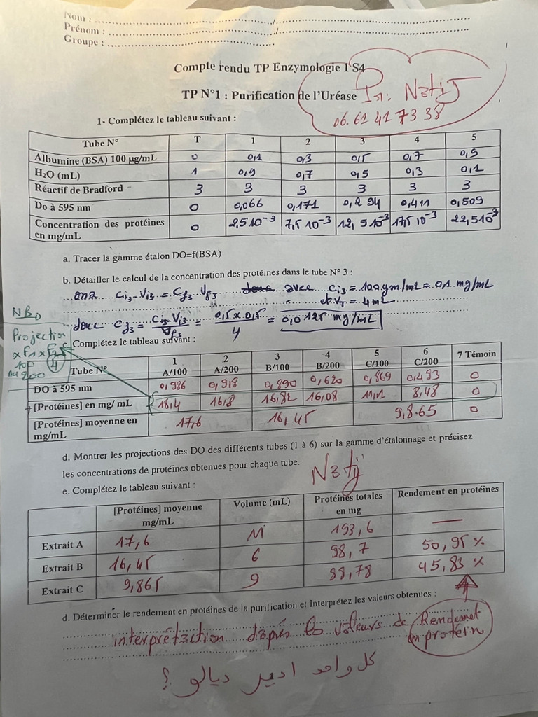 Prof Natij Compte Rendu Tp 1 Enzumo | PDF