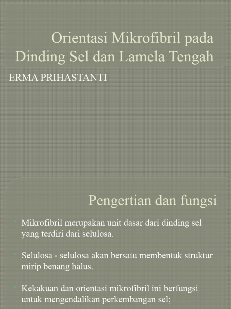 Struktur Mikrofibril Dinding Sel | PDF | Sains & Matematika