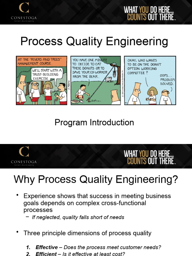 Process Quality Engineering Overview | PDF | Computer Program | Programming