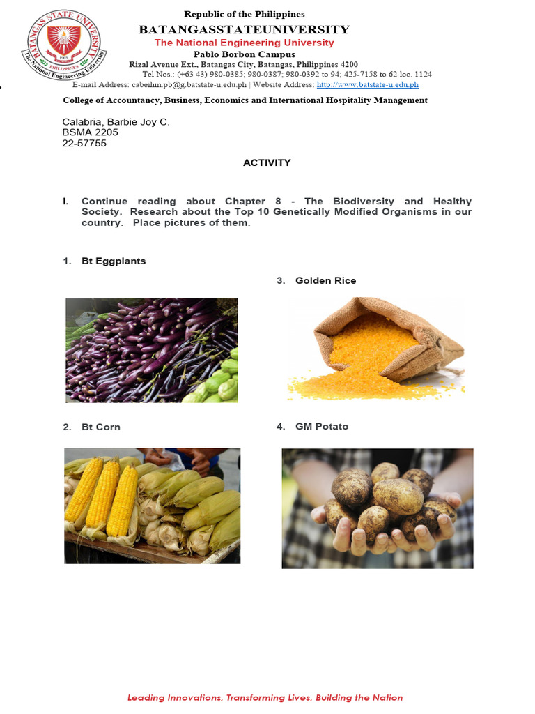 Sts Activity | PDF | Nanotechnology | Cancer