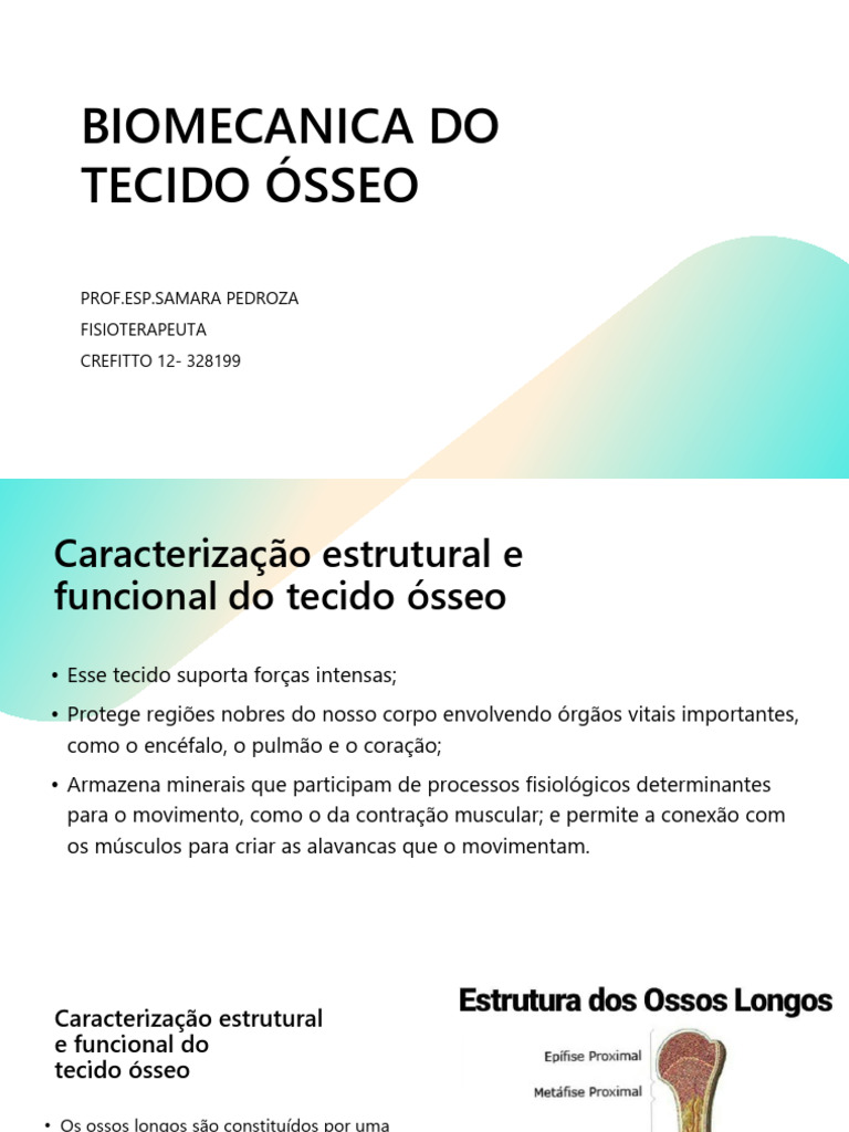 Biomecanica Tecido Osseo | Download grátis PDF | Osso