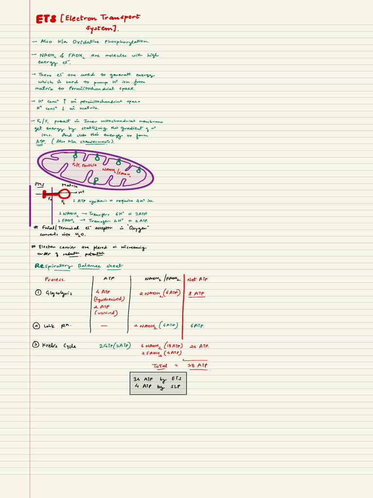 Rantic: Won Atria | PDF | Adenosine Triphosphate | Cellular Respiration
